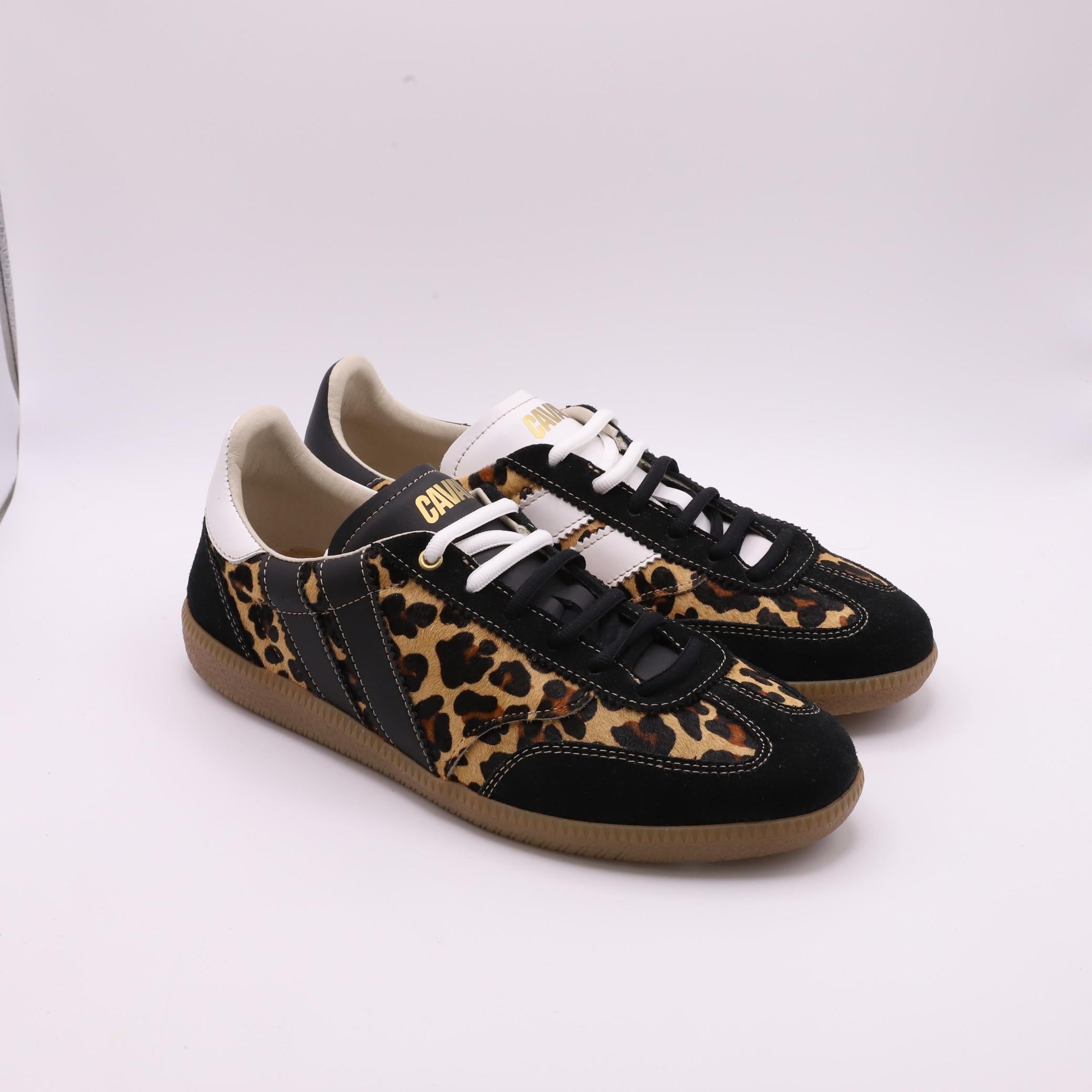 Proto - Pulse - Gold Leo - 38 – CAVAL